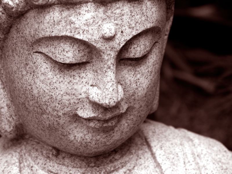 Lama Marut Home Page - Lama Marut's Official Website